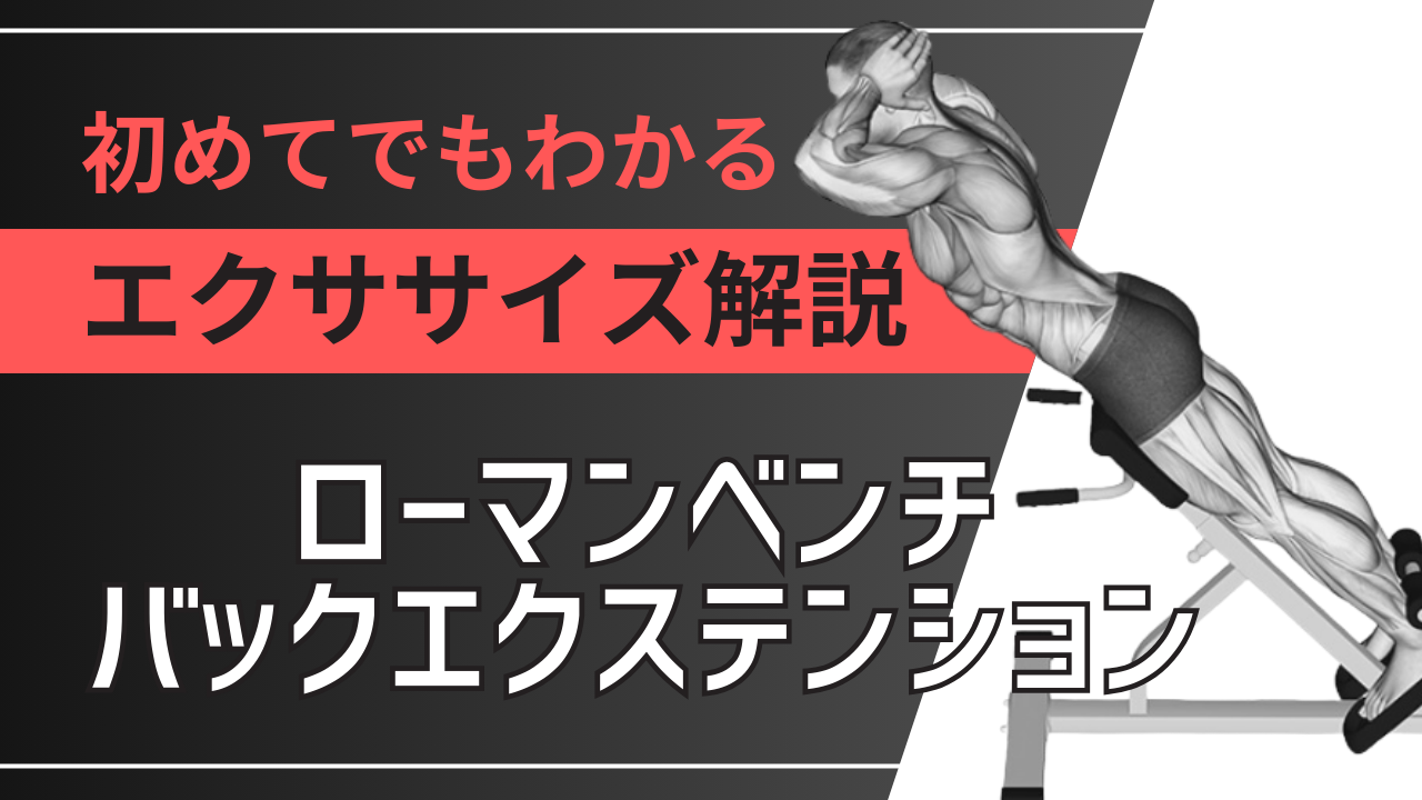 ローマンベンチ・バックエクステンション：初めてでもわかるエクササイズ解説 - physica